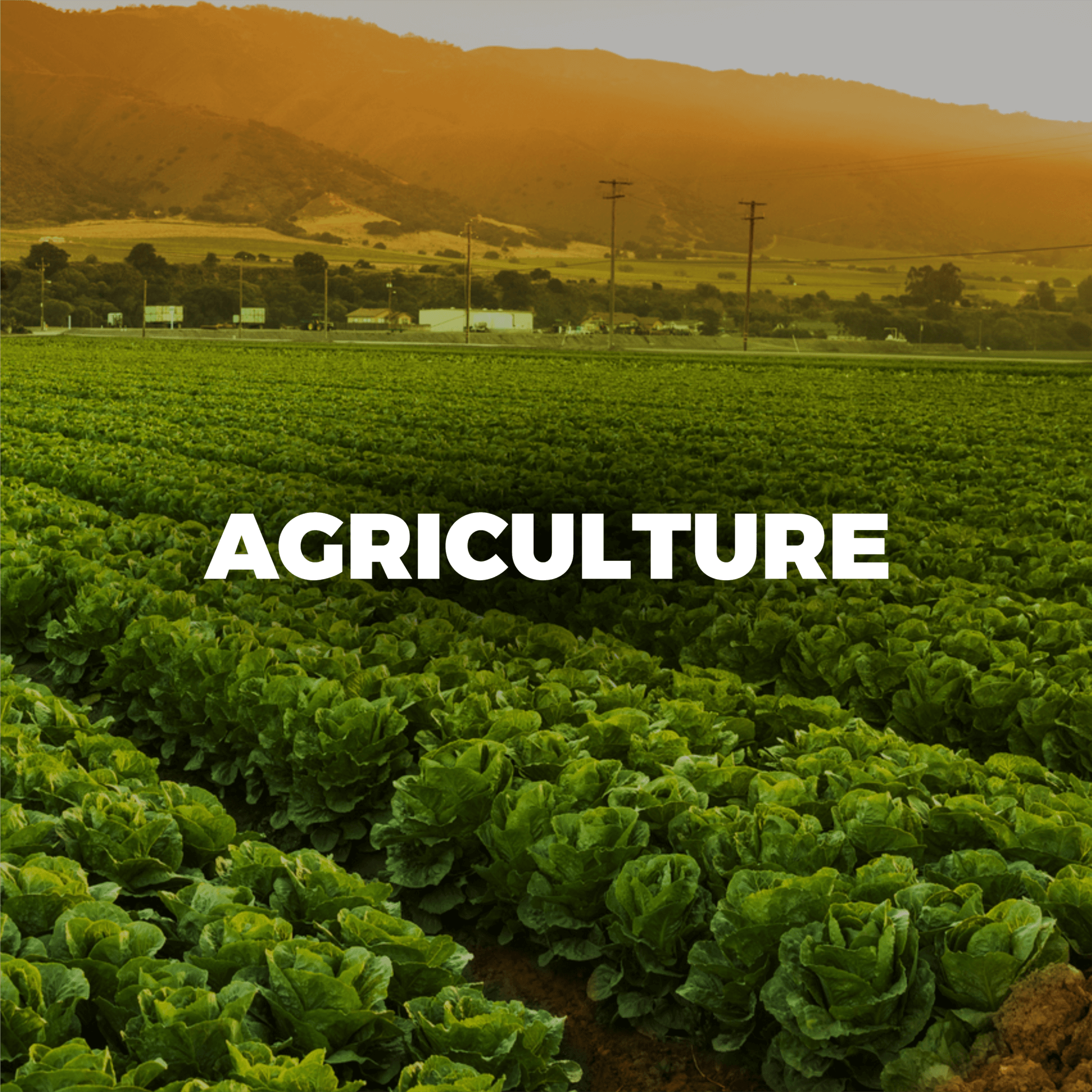 Home - Holakin Global